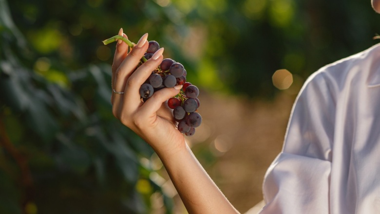 Analía Sánchez: "Las mujeres en el campo no consiguen trabajo fácilmente"